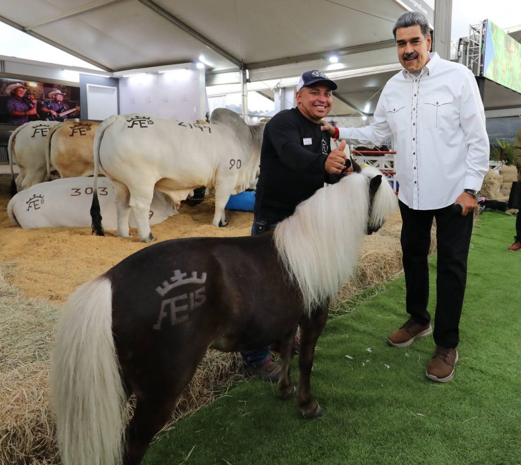 Maduro inaugura Feria Nacional del Cebú y sus cruces con asistencia de ...