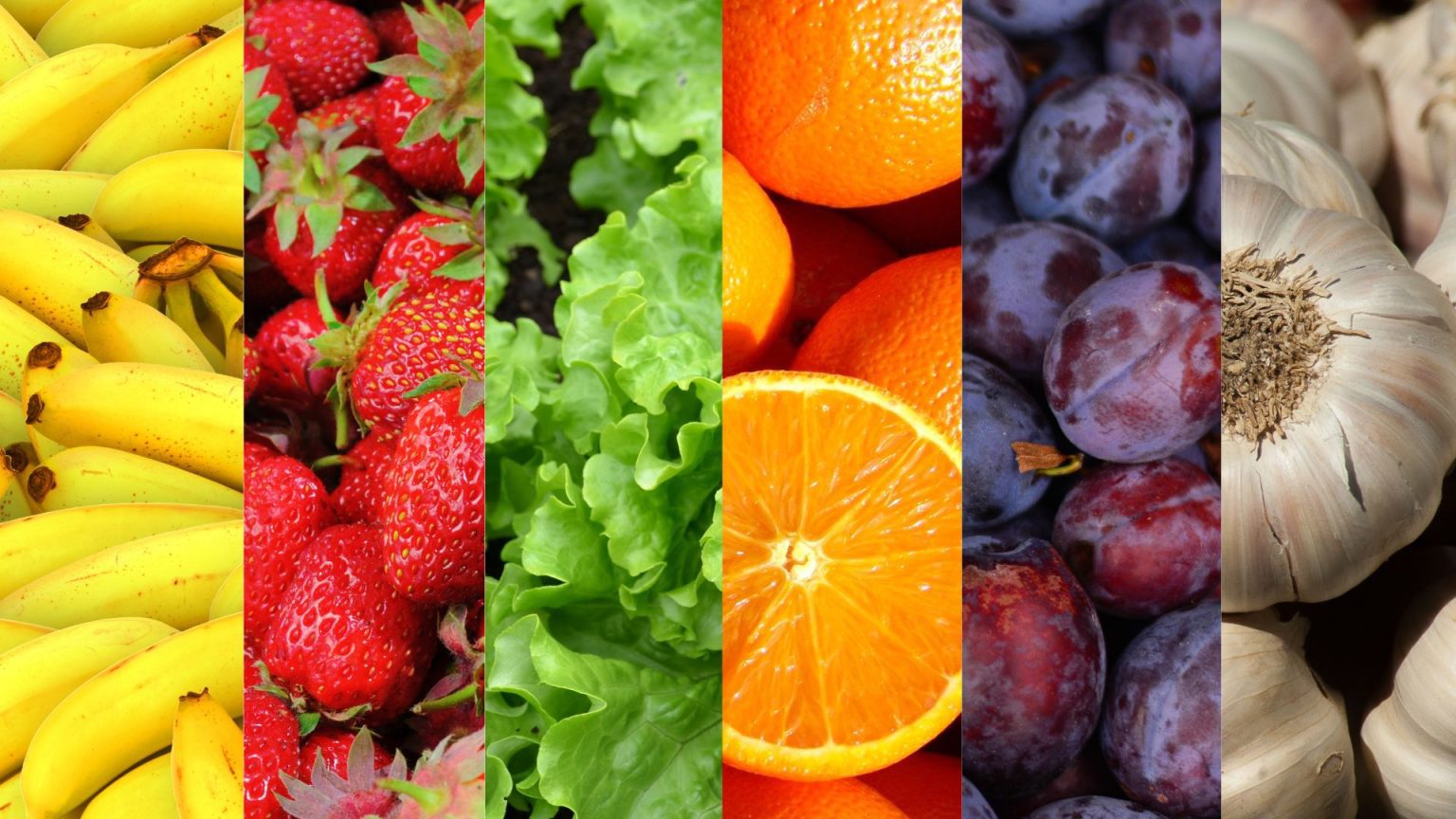 ¿Conoces la importancia del color de tus alimentos? - El Foco Venezuela