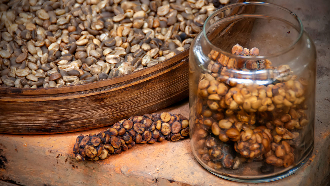 Los incómodos secretos detrás del café más exótico del mundo - El Foco ...