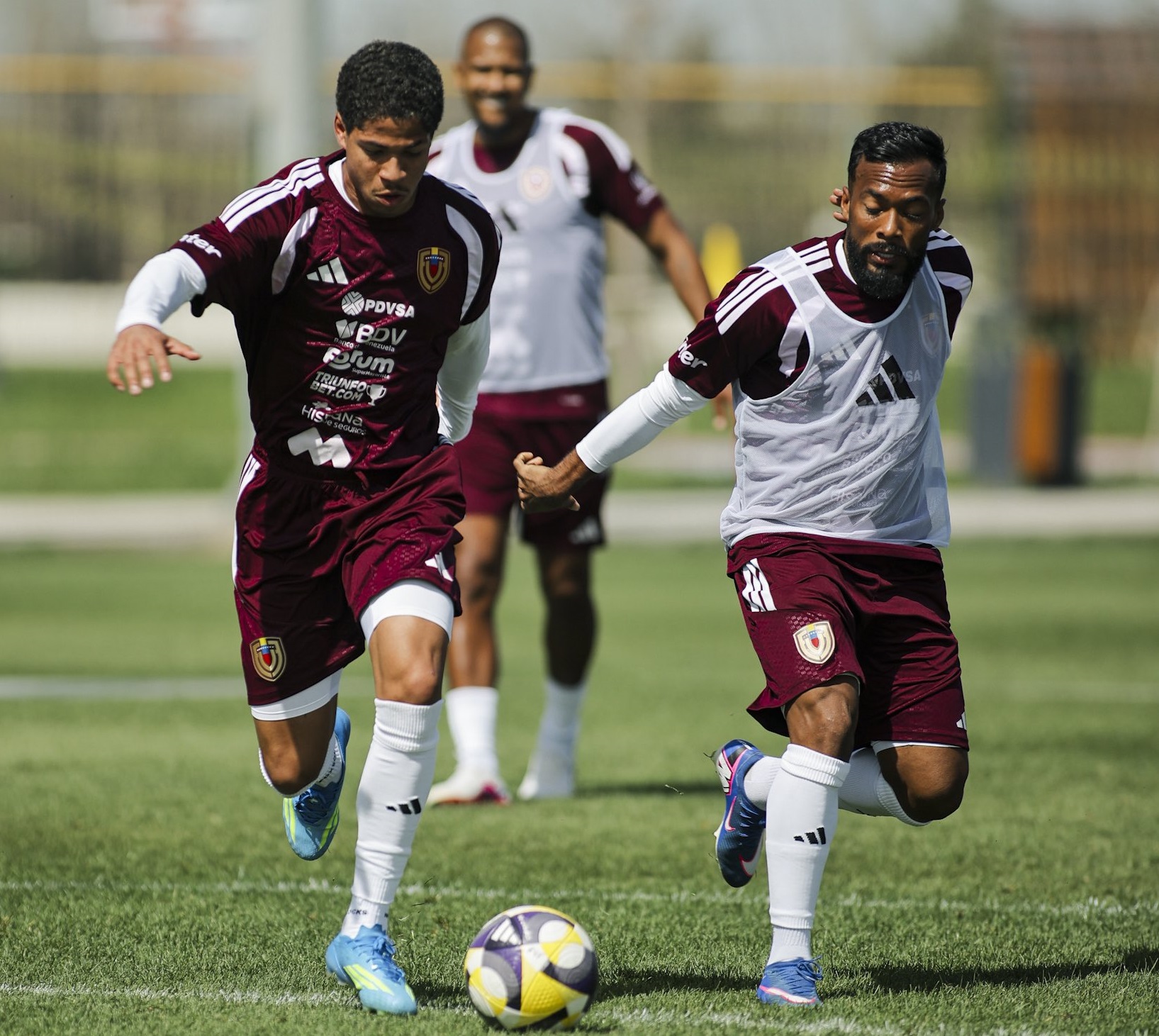 Venezuela comienza un nuevo ciclo futbolístico en la FIFA Series 2026 ...